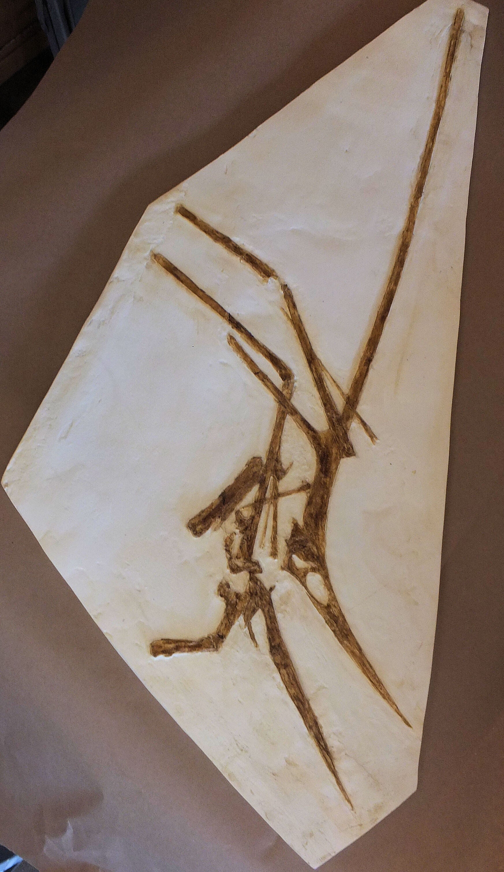 nyctosaurus skeleton