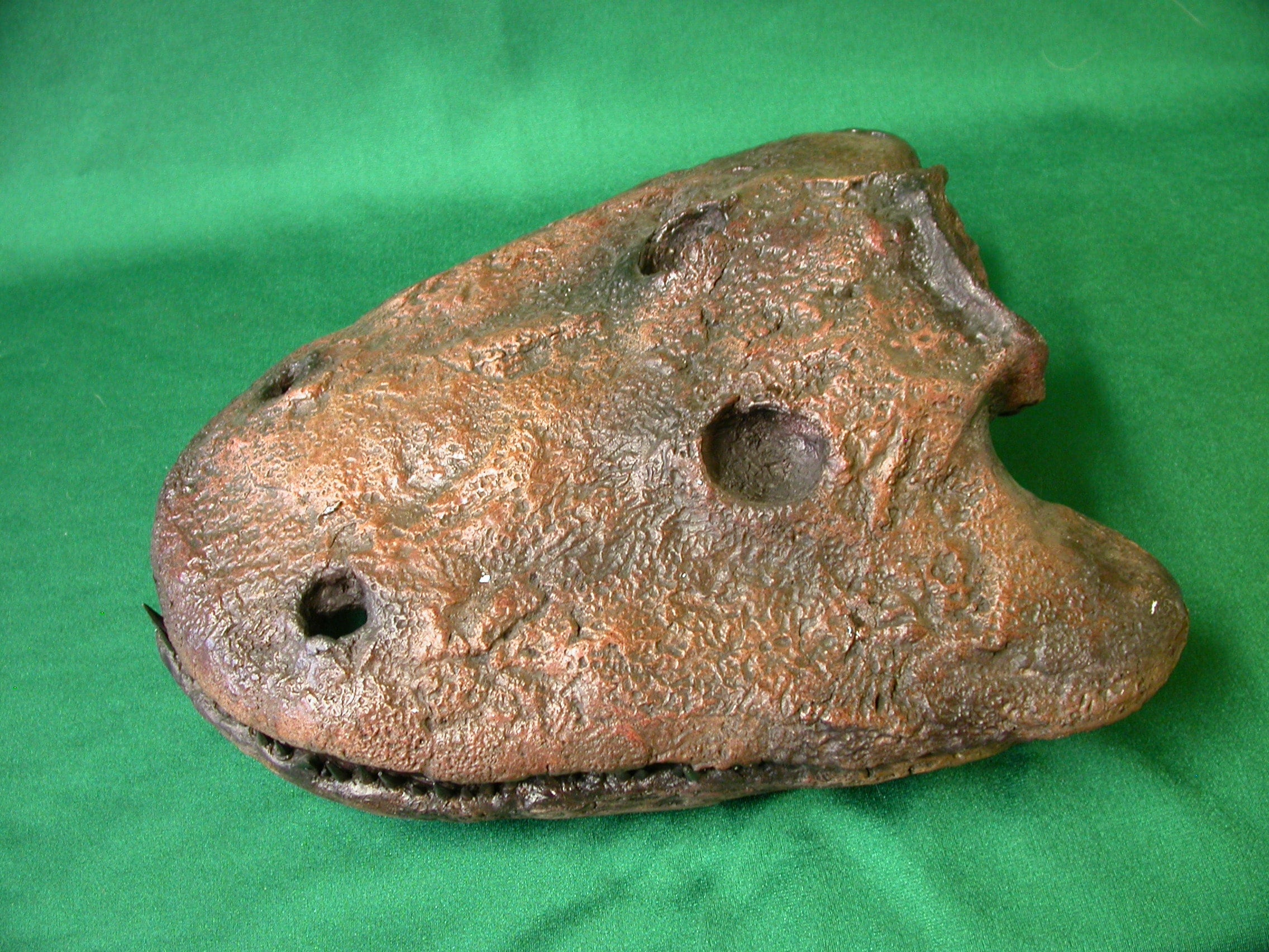 Eryops